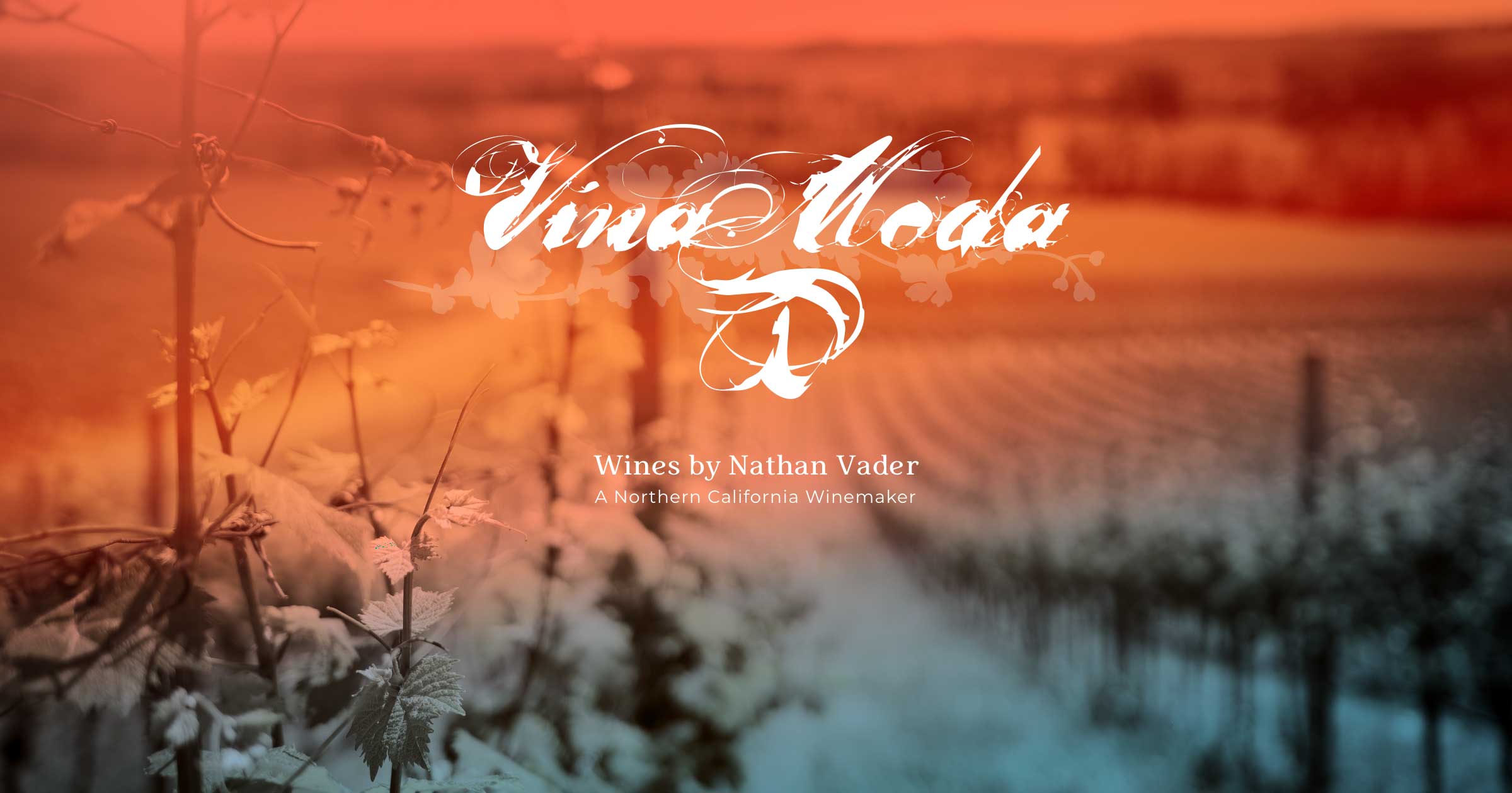 Vina Moda Winery | Winemaker Nathan Vader Sierra Foothills